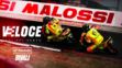 Home - Malossi S.p.A. - Sito ufficiale Malossi S.p.A. – Sito ufficiale